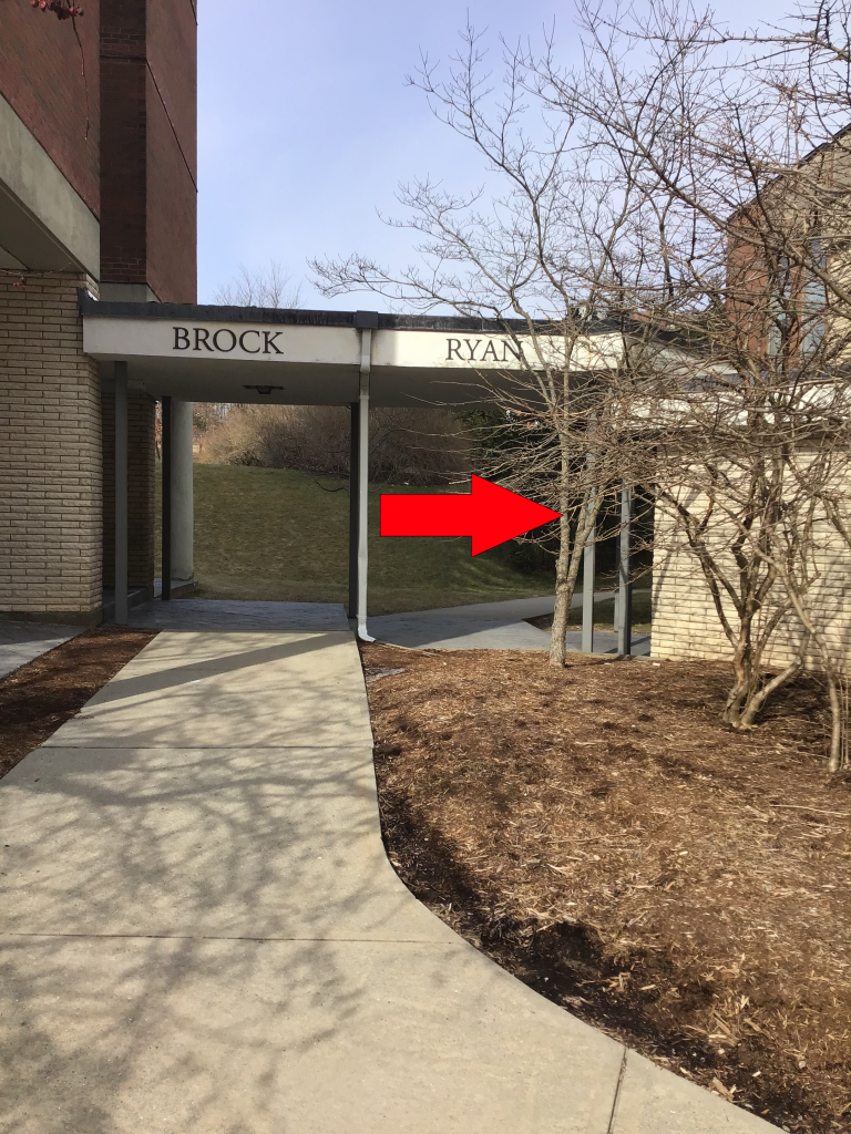 Directions | El Instituto: Institute of Latina/o, Caribbean, and Latin ...